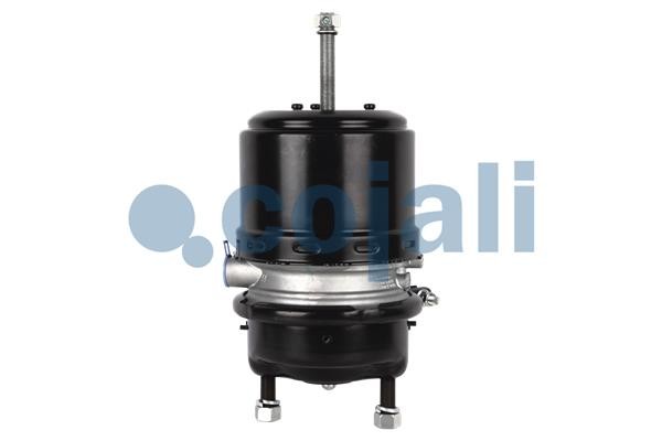 Cojali Zylinder 2251513 - - RSU.de